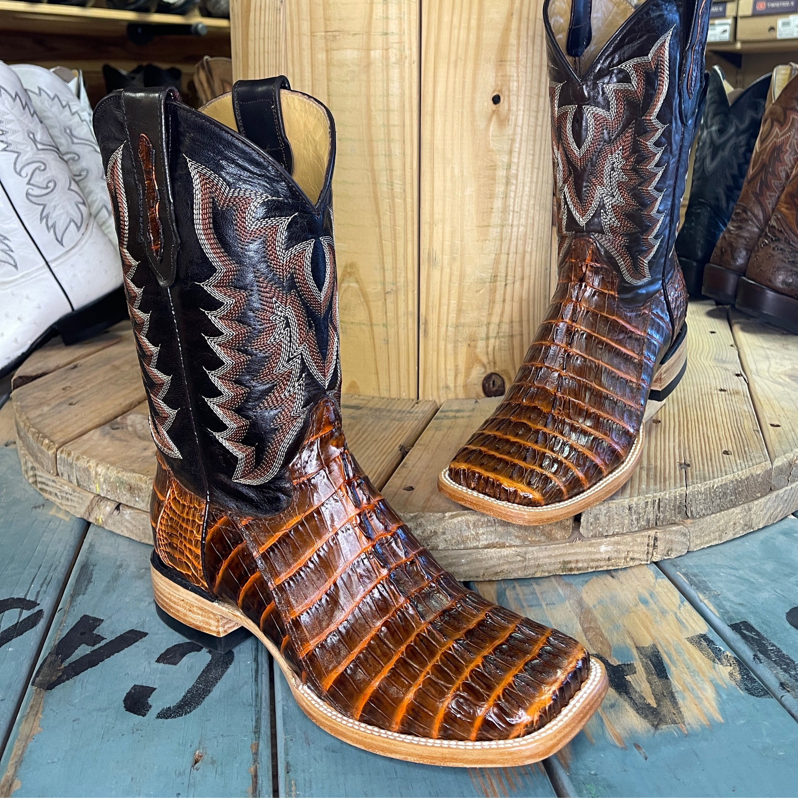 CAIMAN TAIL | El Oso WesternWear